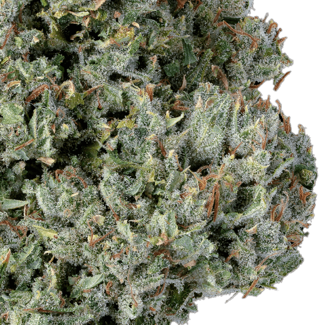 Why Native Sun's Kuzco's Poison Is the Perfect Summer Strain - Native ...