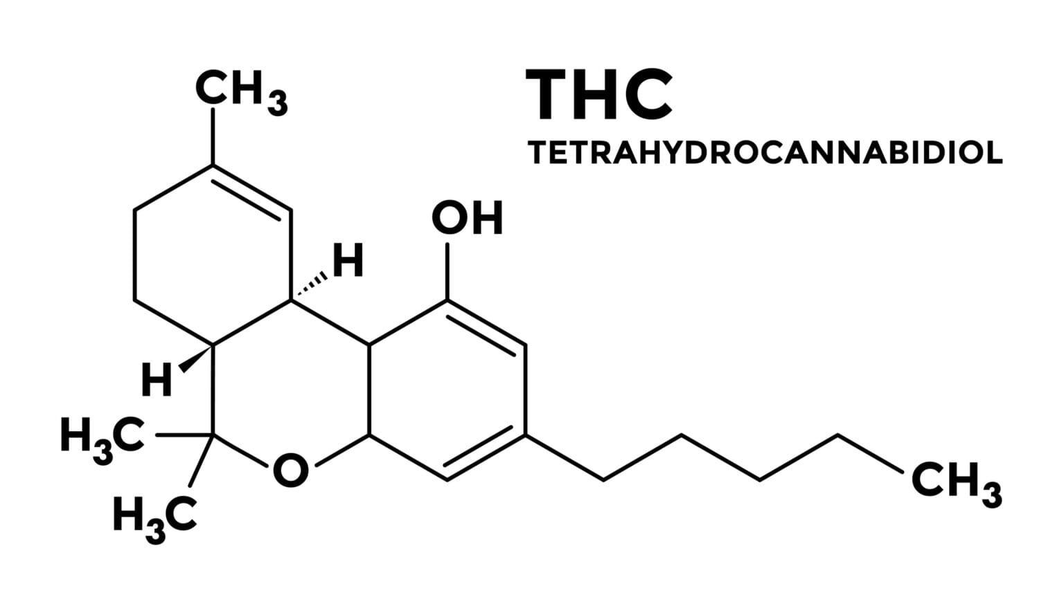 THC vs. THCA: What's the Real Difference? - Native Sun Cannabis ...